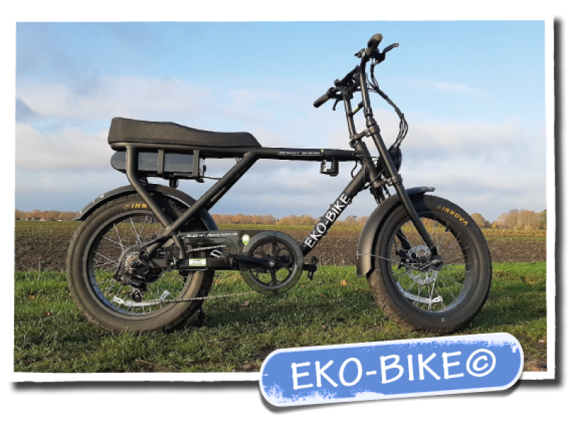 Onze voertuigen - Eko-Tours